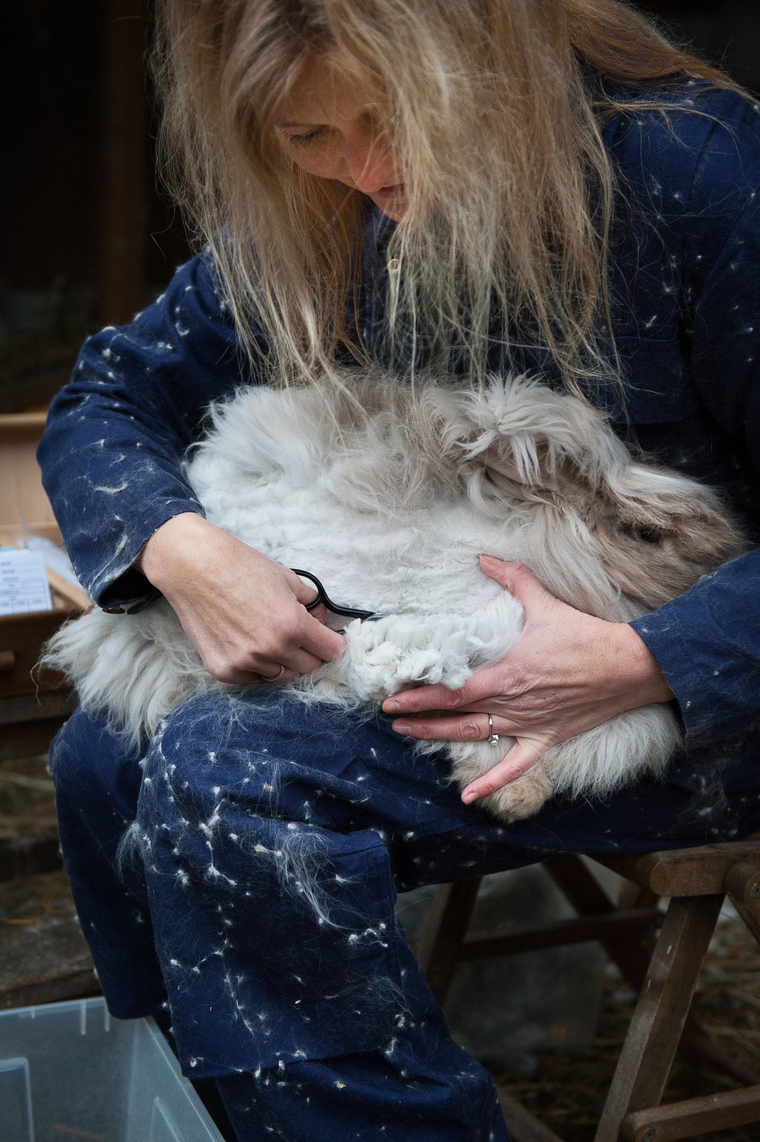 Our yarn - AngoraGarnet